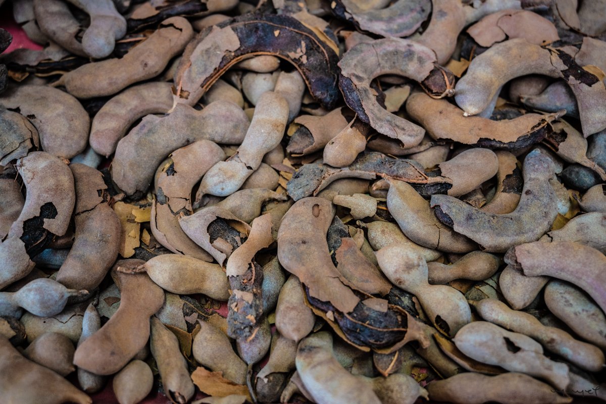 Foto para decorar de Colores Mexicanos, Tamarindo – maite ibarrola